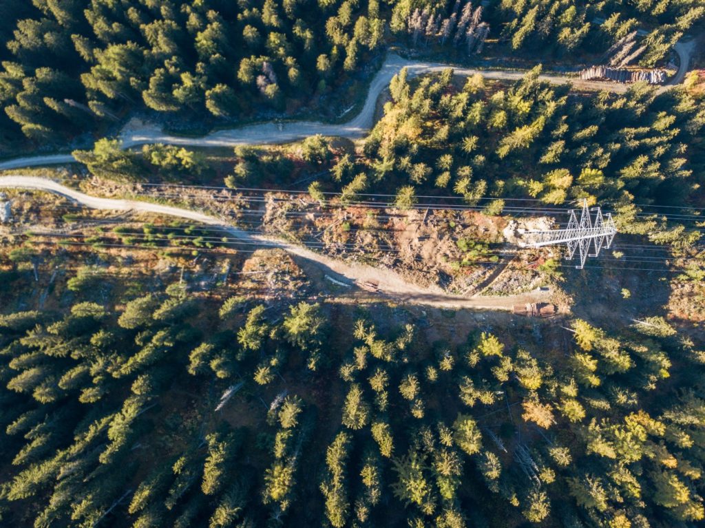 Identifying Areas Of High Risk Vegetation Encroachment On Power Lines
